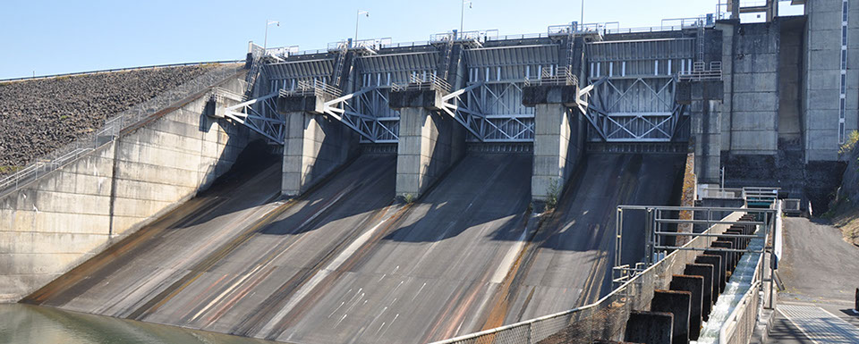 RC | Project and Construction Management, Engineering